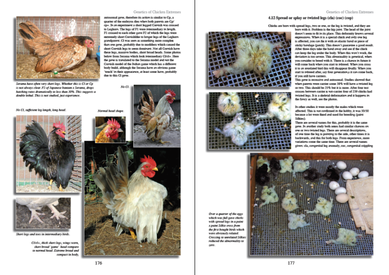 Genetics of Chicken Extremes book – CHICKENCOLOURS.com