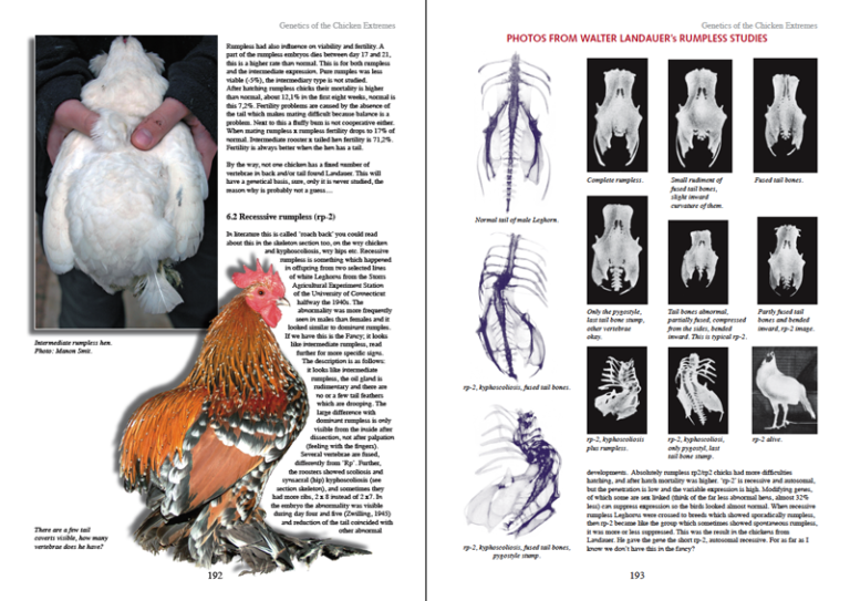 Genetics of Chicken Extremes book – CHICKENCOLOURS.com