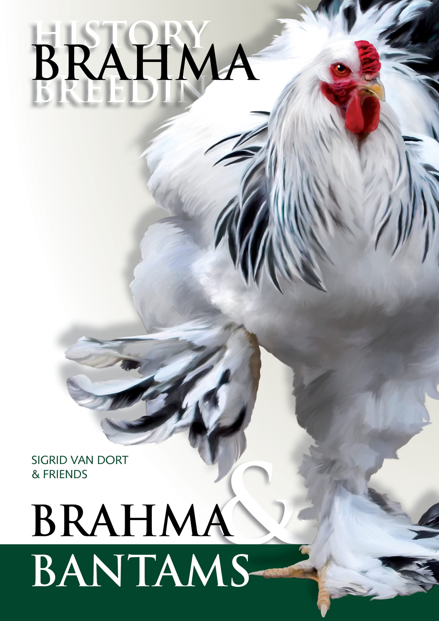 The Brahma & Brahma bantams book – CHICKENCOLOURS.com