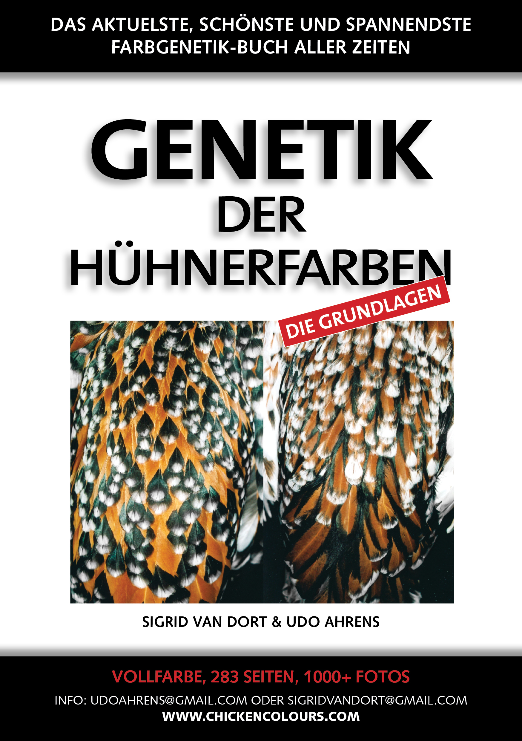 Genetik der Hühnerfarben – CHICKENCOLOURS.com