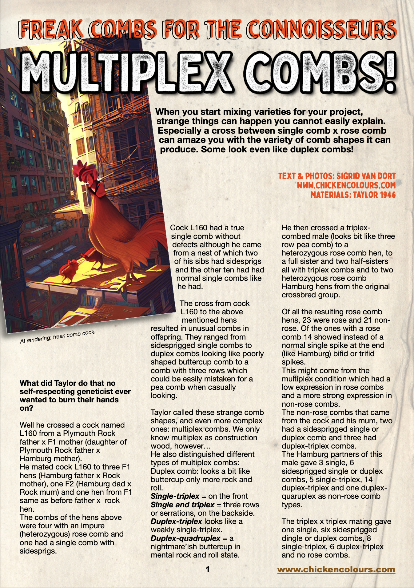 Articles-English – CHICKENCOLOURS.com